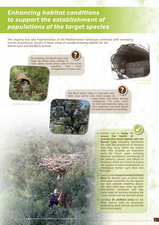 Layman's Report - LIFE Habitat Lince Abutre | PDF