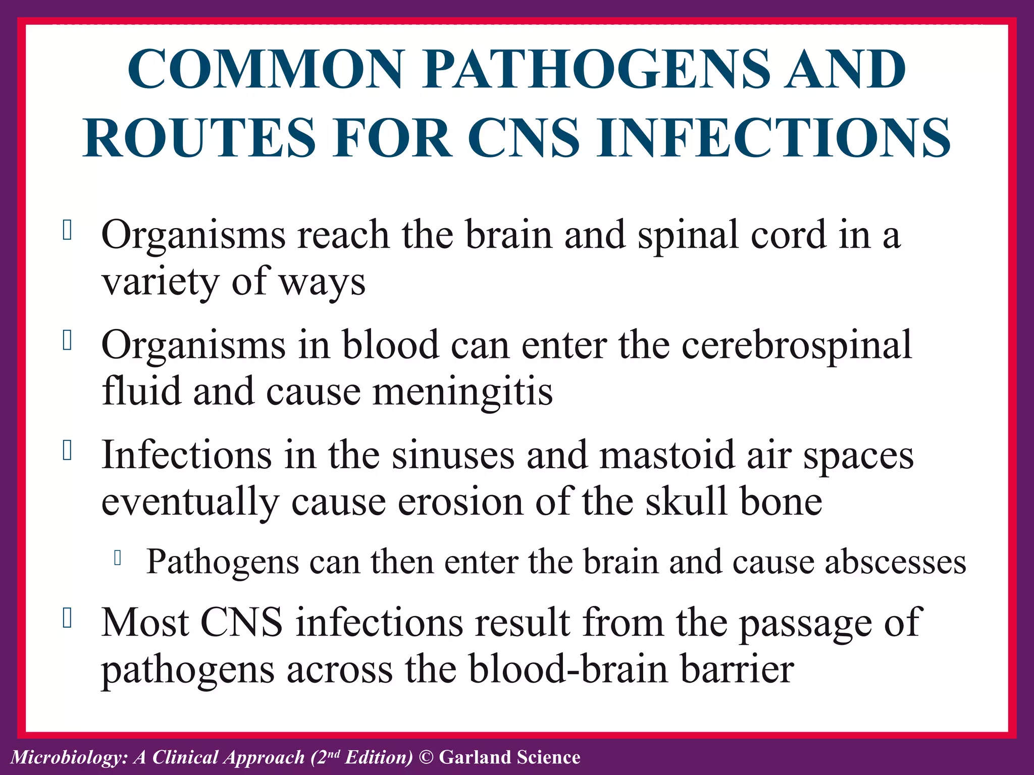 Ch. 24 Infections of Central Nervous System | PPT | Infectious Diseases | Diseases and Conditions