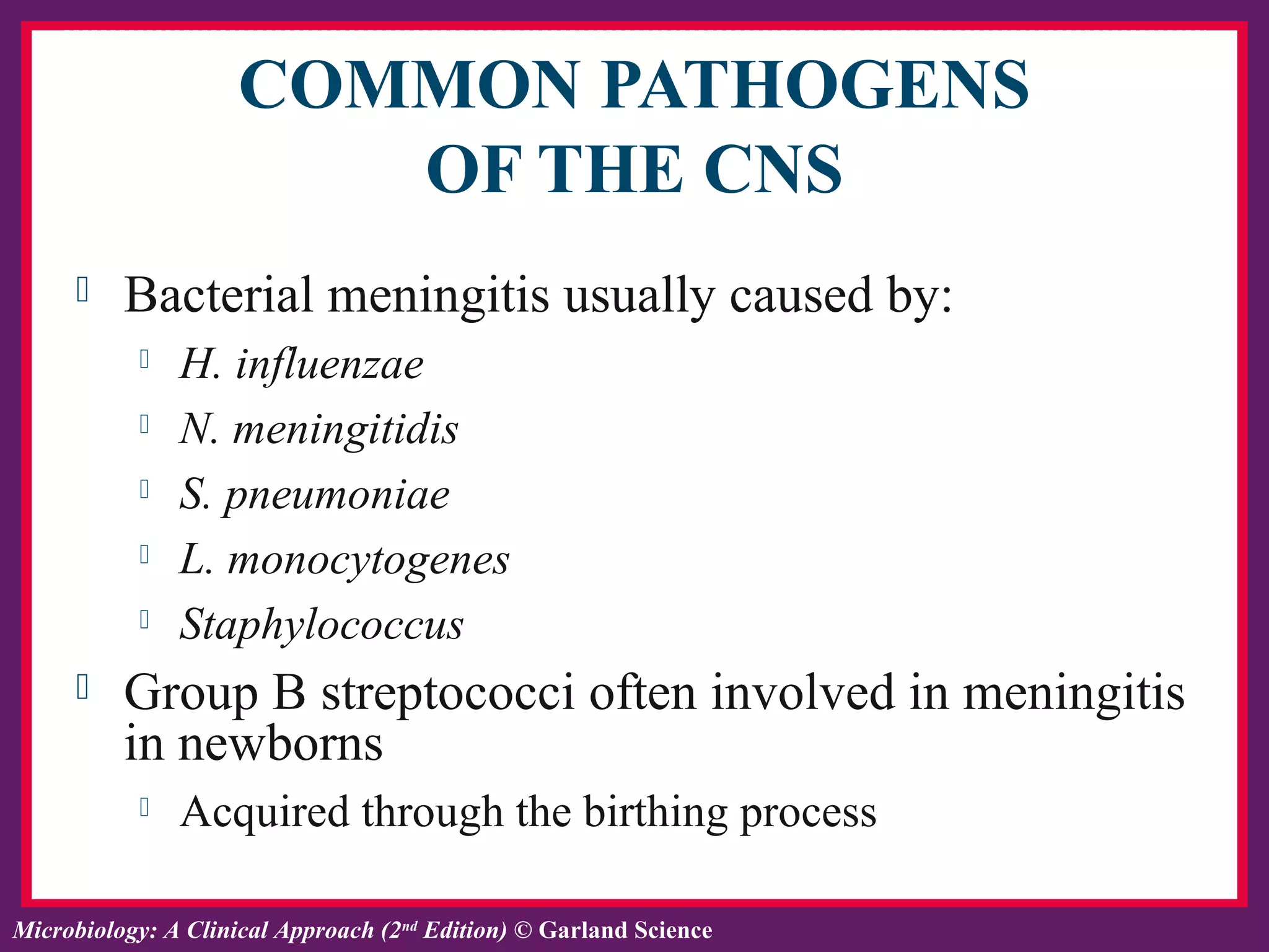 Ch. 24 Infections of Central Nervous System | PPT | Infectious Diseases | Diseases and Conditions