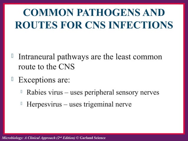 Ch. 24 Infections of Central Nervous System | PPT | Infectious Diseases ...