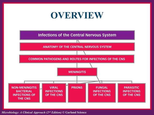 Ch. 24 Infections of Central Nervous System | PPT | Infectious Diseases ...