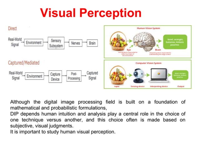 Elements of visual perception Eye vision .pptx