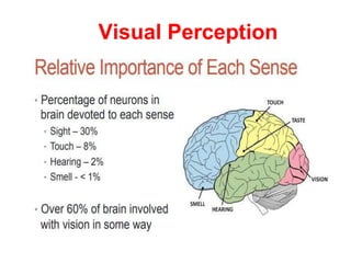 Elements of visual perception Eye vision .pptx