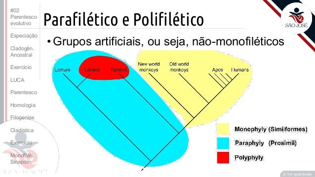 2EM #02 Parentesco Evolutivo (2016)