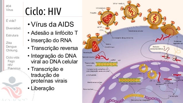 2EM #04 Vírus (2016)