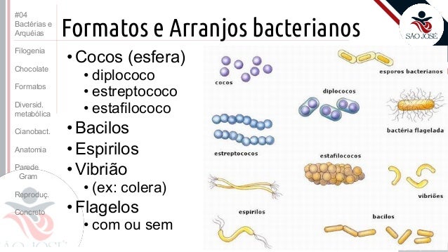 2EM #05 Bactérias (2016)