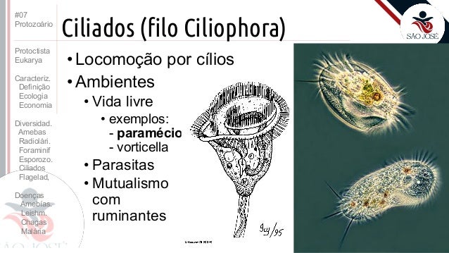 2EM #07 Protozoários (2016)
