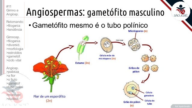 2EM #11 Pinhas e Flores (2016)