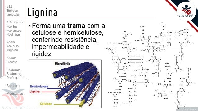 2EM #12 Tecidos vegetais (2016)