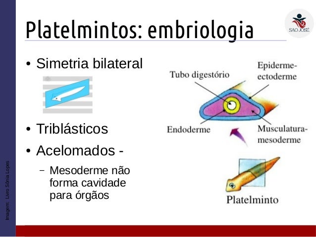 2EM #27 Platelmintos e Nematelmintos