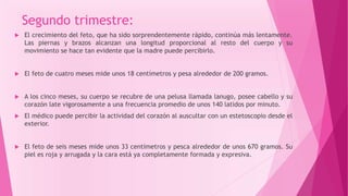 DESARROLLO EMBRIONARIO. BIOLOGIA Y CONDUCTA. | PPTX