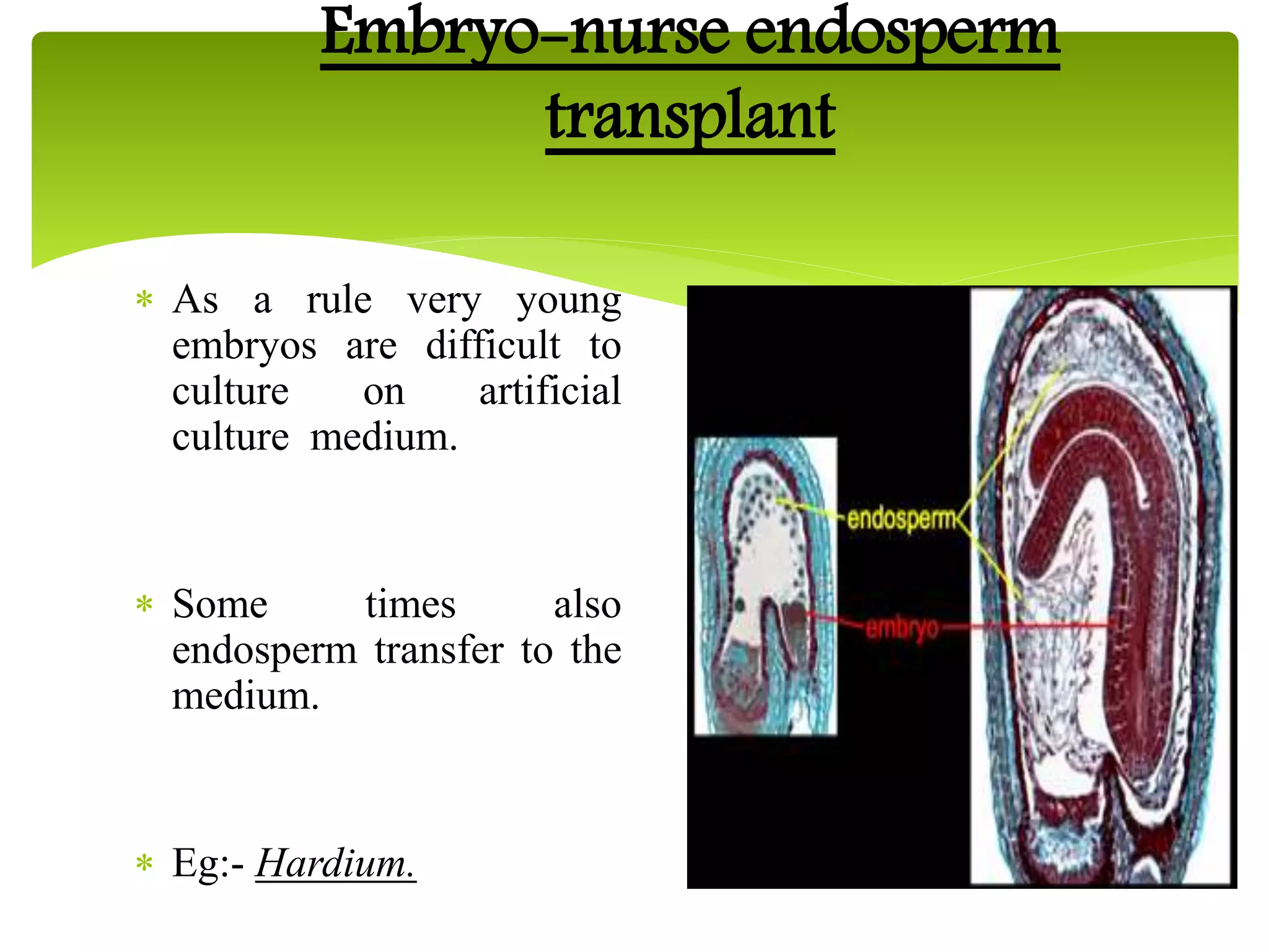 embryo culture production of haploid plant | PPTX | Infertility ...