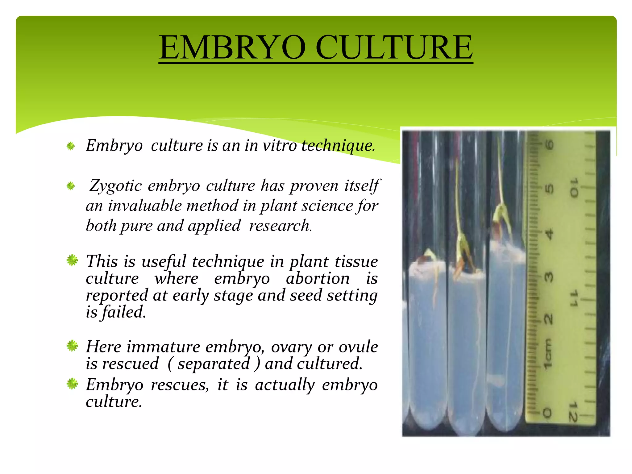embryo culture production of haploid plant | PPTX | Infertility ...