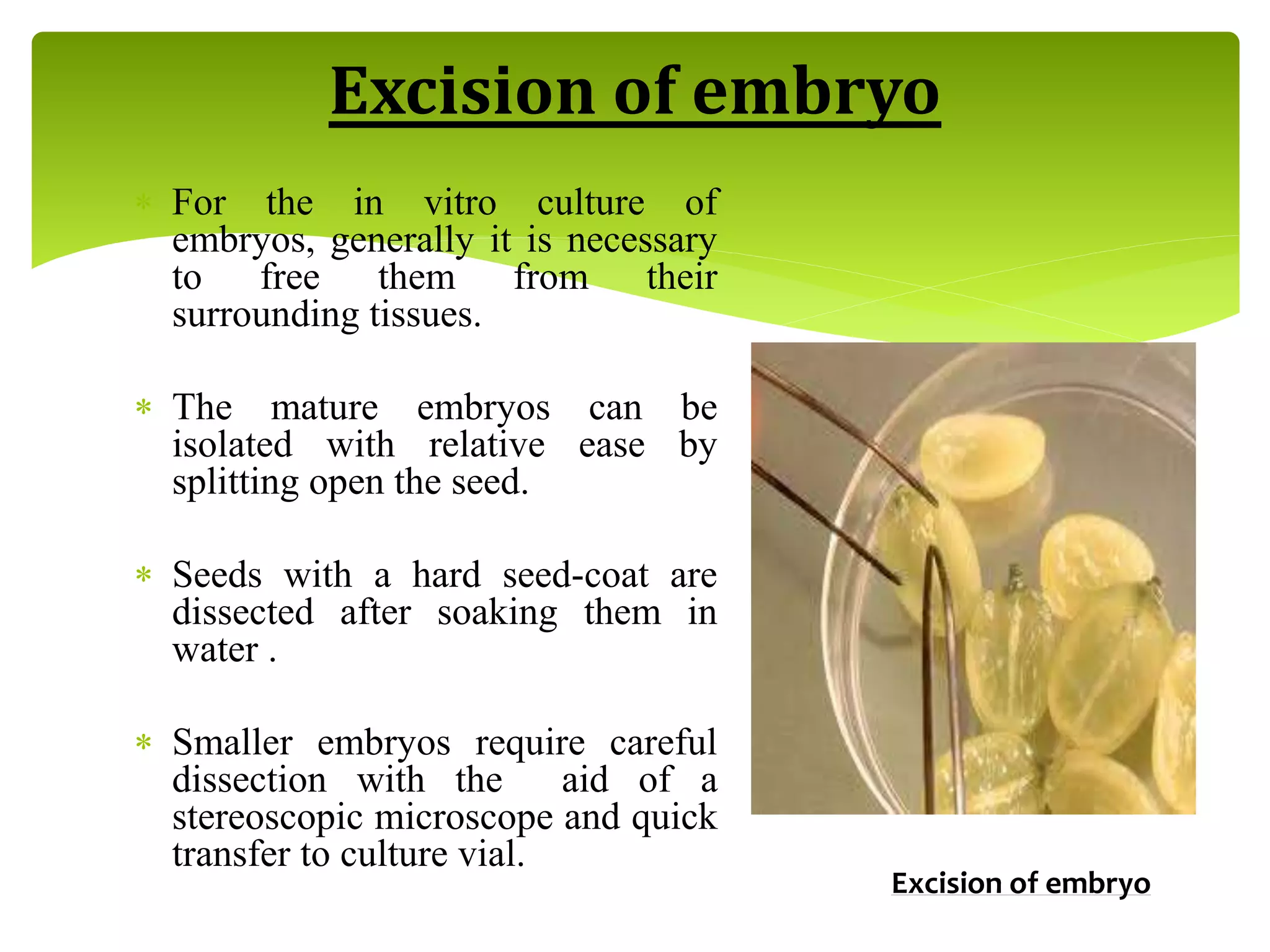 embryo culture production of haploid plant | PPTX | Infertility ...
