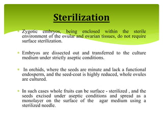 embryo culture production of haploid plant | PPTX