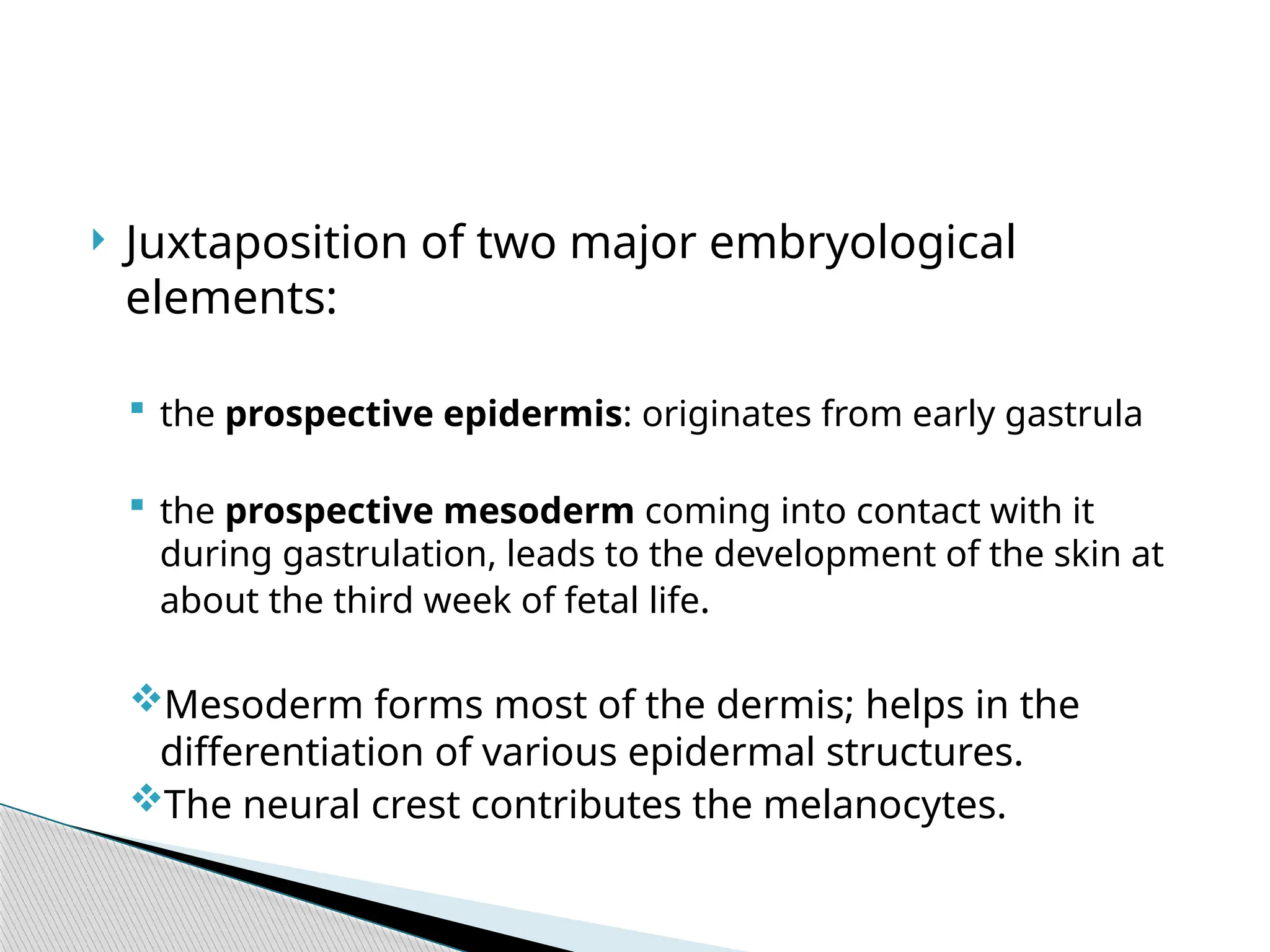 2EMBRYOLOGY OF fetal SKIN DEVELOPMENT - Copy.pptx