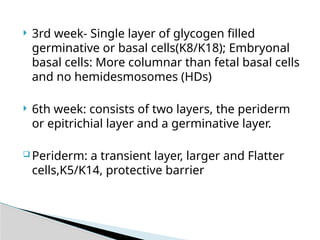 2EMBRYOLOGY OF fetal SKIN DEVELOPMENT - Copy.pptx