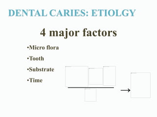 Endodontics 2.pptx awesome thing to learn about teeths and their ...