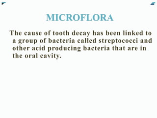 Endodontics 2.pptx awesome thing to learn about teeths and their ...