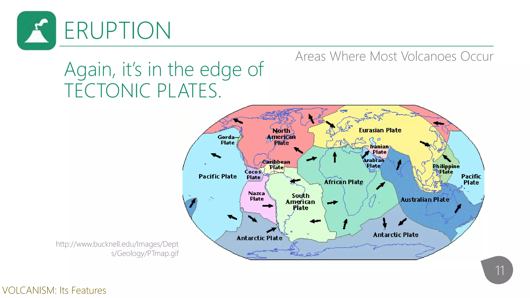 Endogenic Process | PPTX