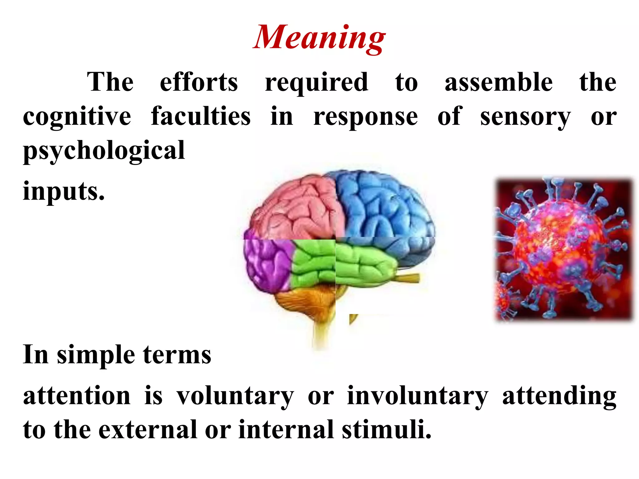 characteristics of attention (English) | PPSX