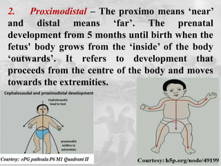Eng principles of human developmet | PPT