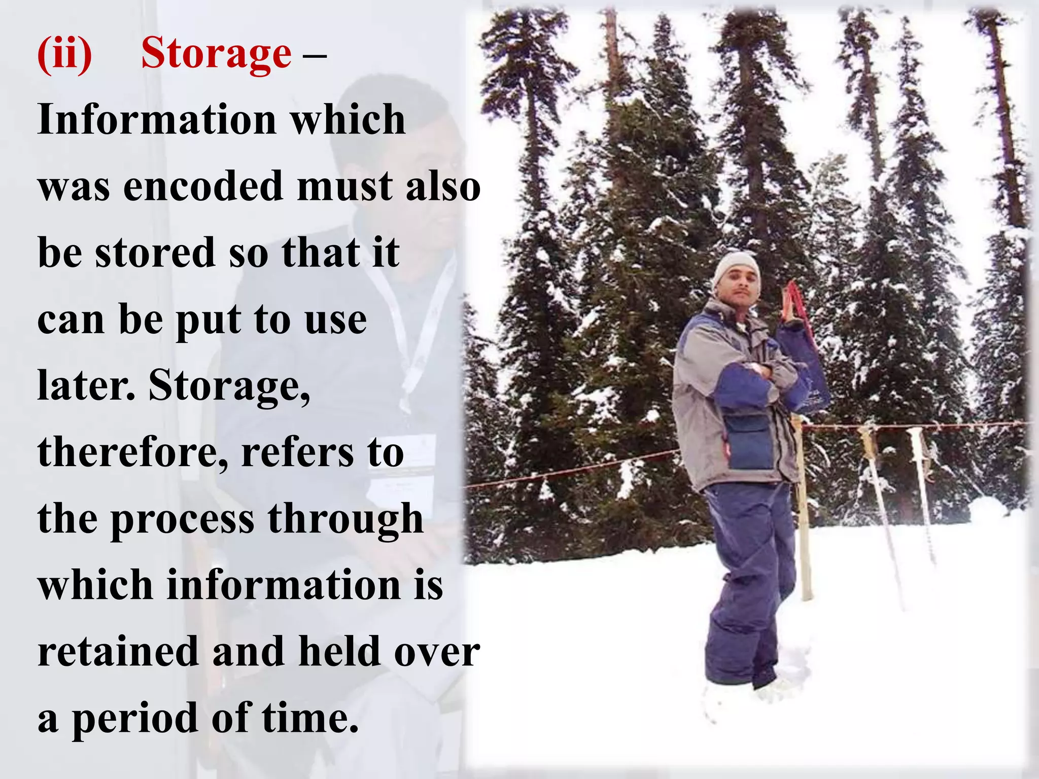 Stages of memory formation | PPSX