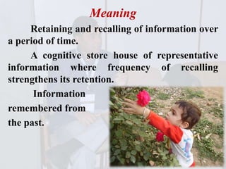 Stages of memory formation | PPSX