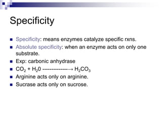 2 Enzymes lec .ppt