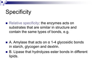 2 Enzymes lec .ppt