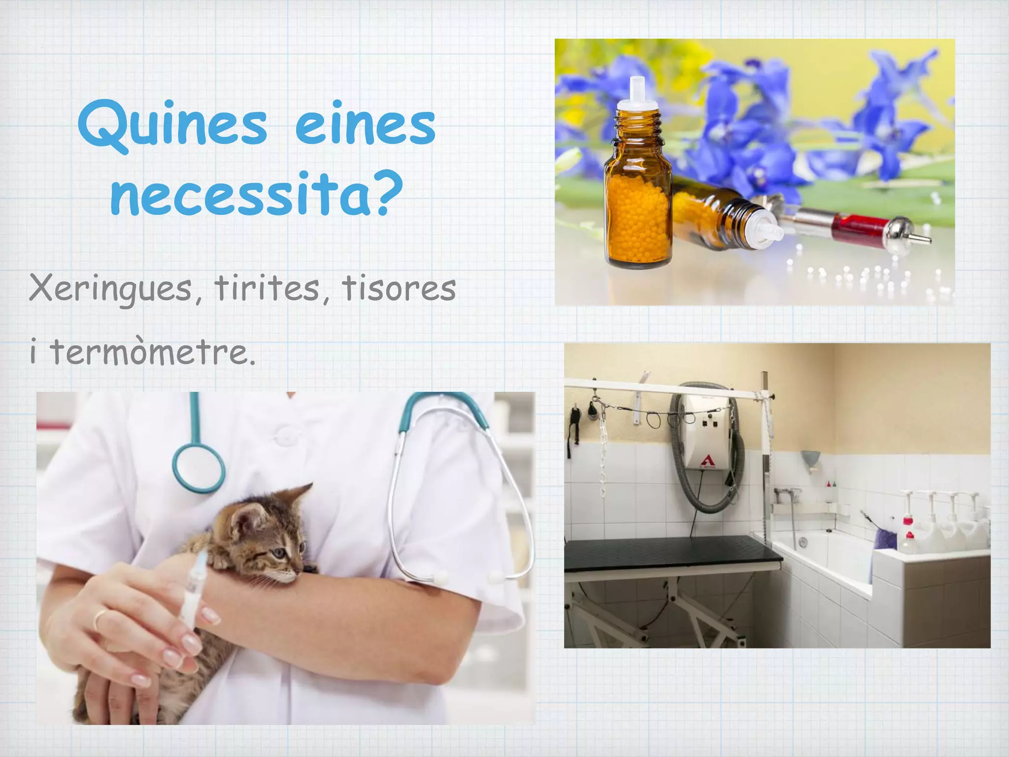 2EPA_L'ofici de veterinari | PPTX