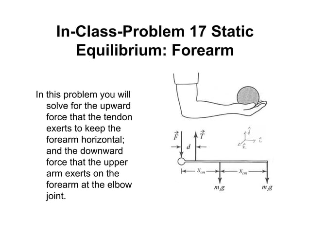 2 equilibrium problem soliving | PDF | Physics | Science