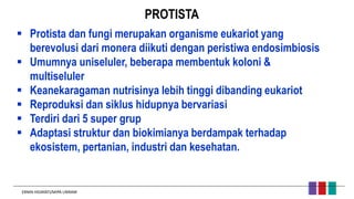 keanekaragaman protista dan fungi | PDF