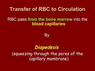 2 ERYTHROPOIESIS.pptschool of clinical sci | PPT