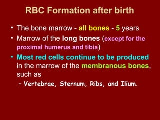 2 ERYTHROPOIESIS.pptschool of clinical sci | PPT