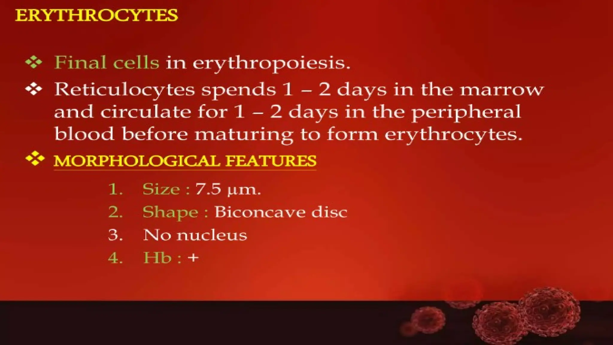 DPT - Physiology - II (Blood Physiology) Erythropoiesis and Red blood ...