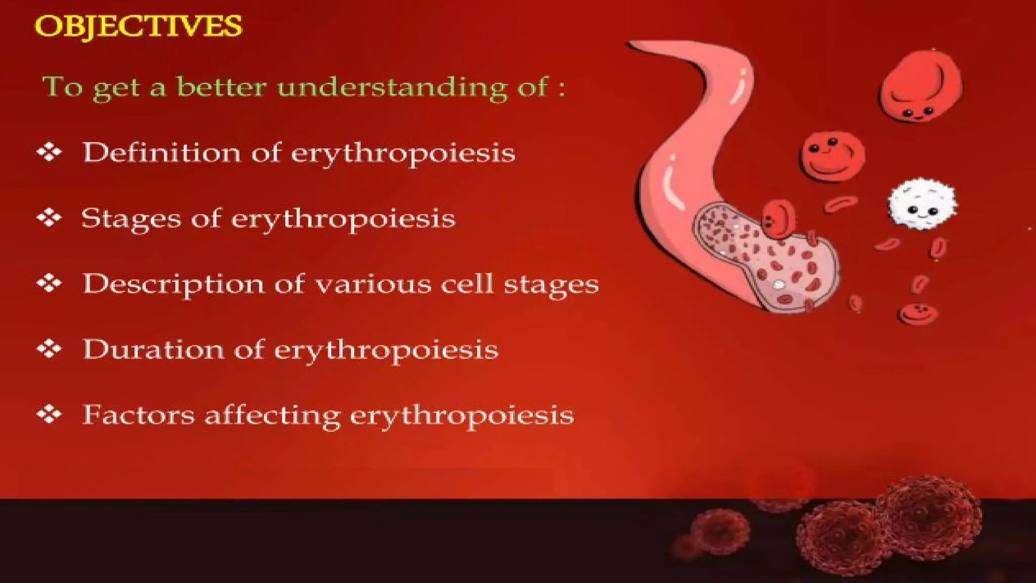 DPT - Physiology - II (Blood Physiology) Erythropoiesis and Red blood ...