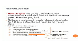 DPT - Physiology - II (Blood Physiology) Erythropoiesis and Red blood ...