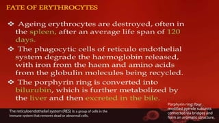 DPT - Physiology - II (Blood Physiology) Erythropoiesis and Red blood ...