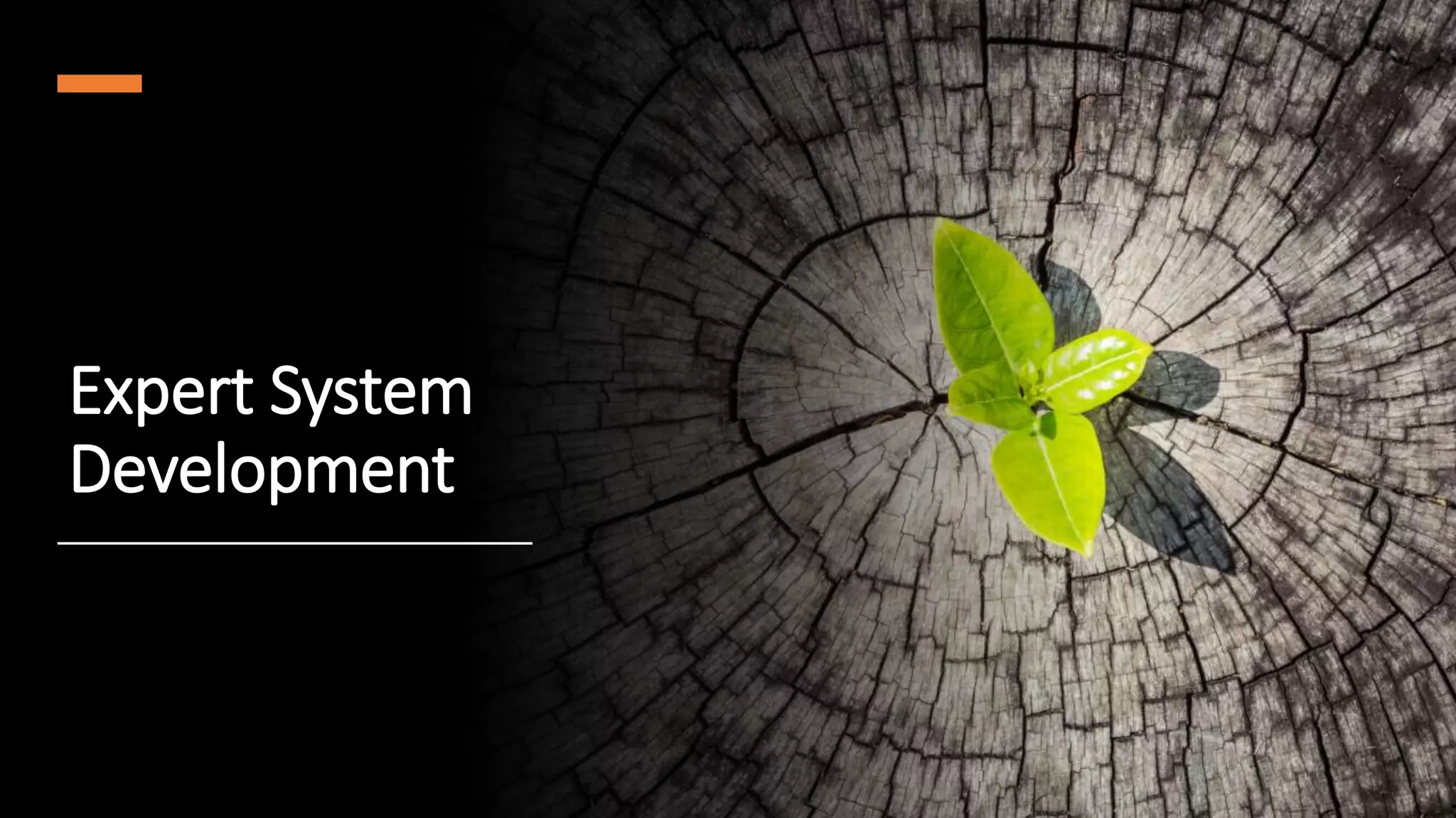 Expert System Development-sant | PPT