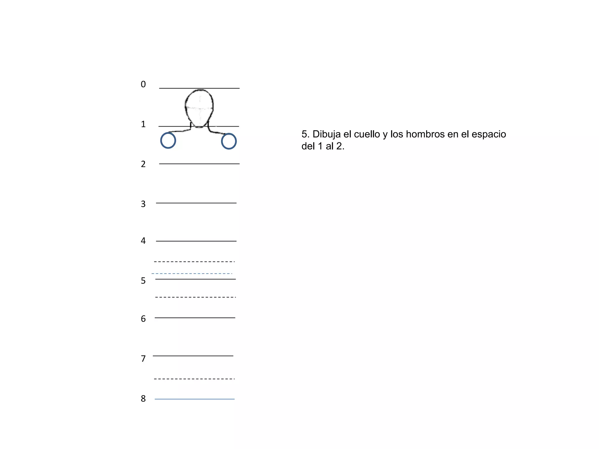 Esquema De Proporciones Del Cuerpo Humano Ppsx
