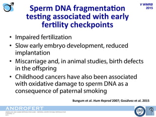 Clinical Utility of Sperm DNA Fragmentation Testing in Male Infertility ...