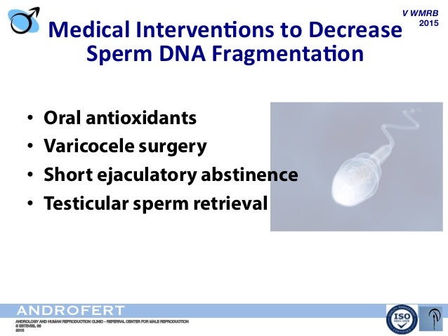 Clinical Utility Of Sperm Dna Fragmentation Testing In Male Infertili…