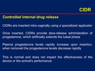 2 Estrus Synchronization.ppt