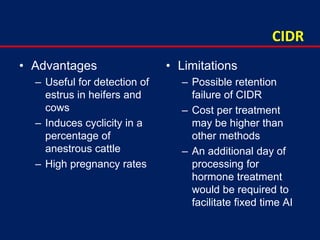 2 Estrus Synchronization.ppt