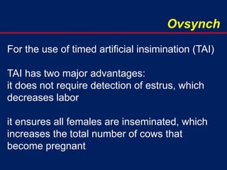 2 Estrus Synchronization.ppt