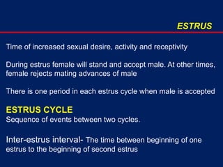 2 Estrus Synchronization.ppt