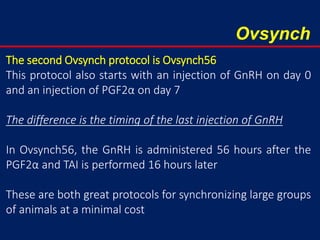 2 Estrus Synchronization.ppt
