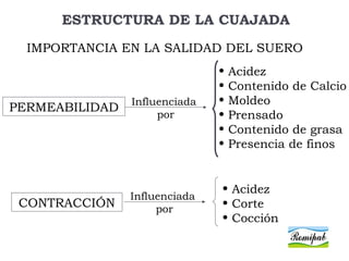 2) etapas de elaboración quesos | PPT