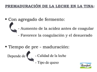 2) etapas de elaboración quesos | PPT